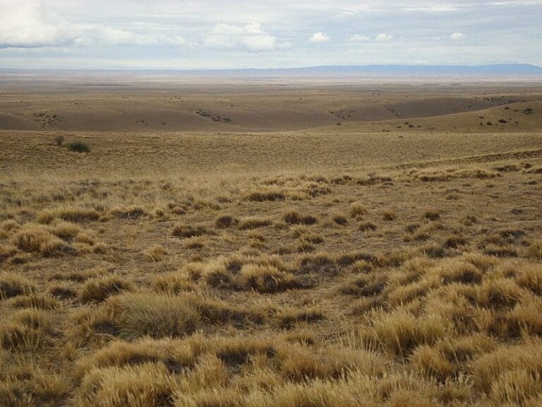 Top 10 Largest Deserts In The World by Area