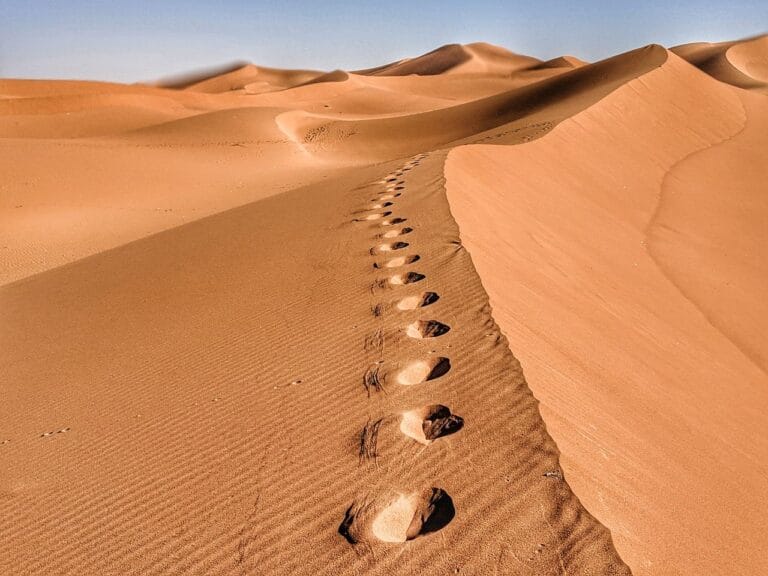 Top 10 Largest Deserts In The World by Area